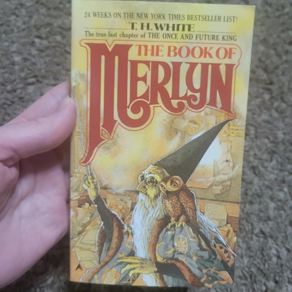 Other | 51 The Book Of Merlin Once And Future King Series | Poshmark